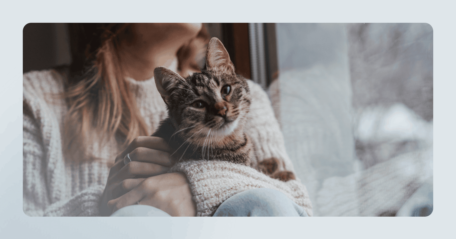 Anticipatory pet grief: 4 ways to cope with the future loss of a pet